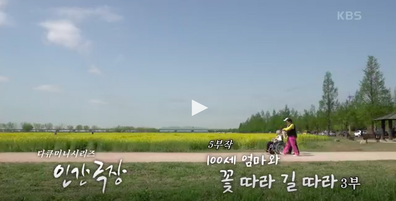KBS1 인간극장 "100세 엄마와 꽃 따라 길 따라" 3부 심층 분석 및 시청평