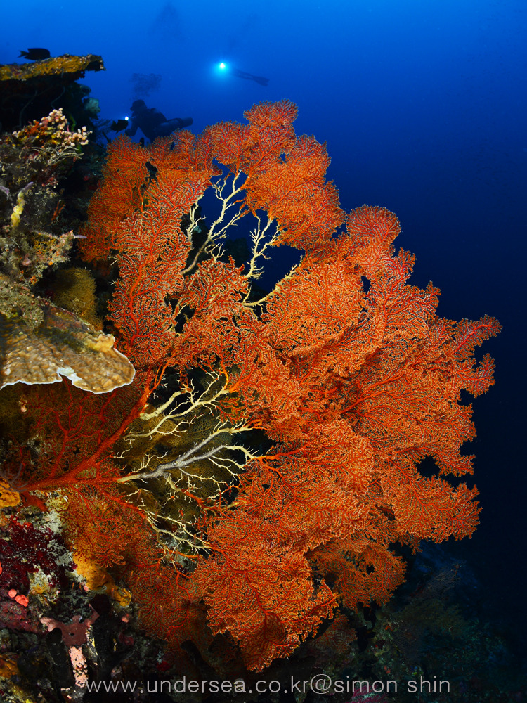 UW Doljo, Bohol, Philippines