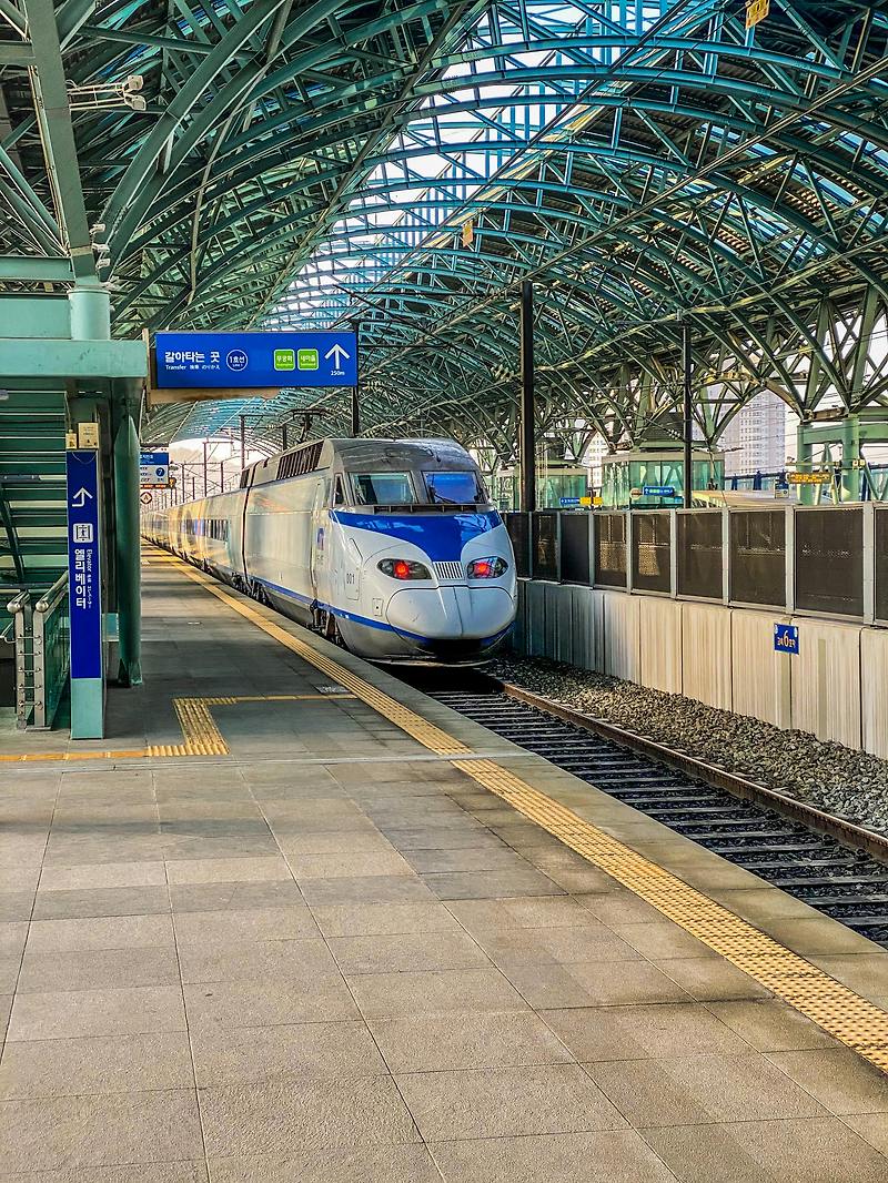 서울-강릉-부산🛤️ "KTX" 앞으로 올 여름 여행 계획 지금부터 준비 하는게 어때요? KTX 타고 서울에서 강릉, 부산까지🚄🌊 이어지는 특별한 일주일 여행 추천!