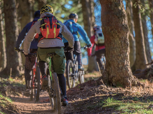 자전거 운동의 효과