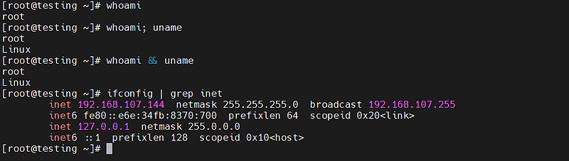 DVWA : Command Injection - Low level