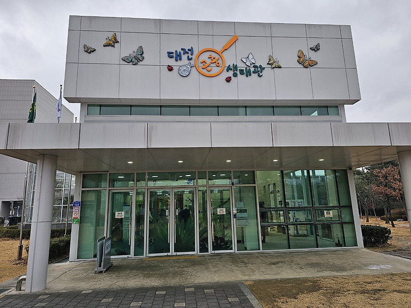 [대전곤충생태관] 아이들과 가볼만한곳 곤충체험 할 수 있는 대전곤충생태관