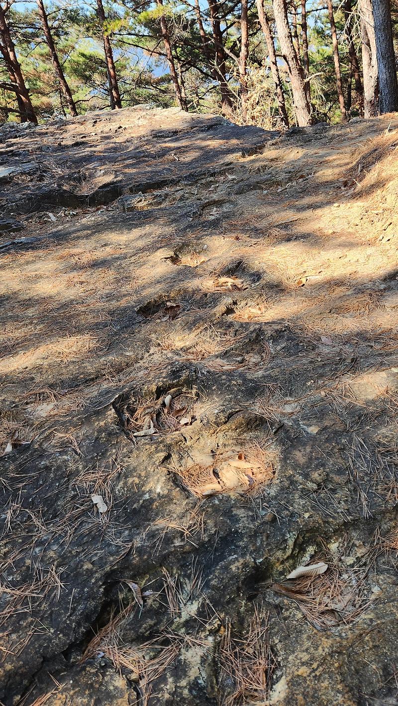 백이산 공룡 발자국 20221220