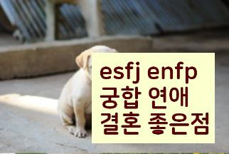 ESFJ ENFP 궁합 연애 결혼 좋은점