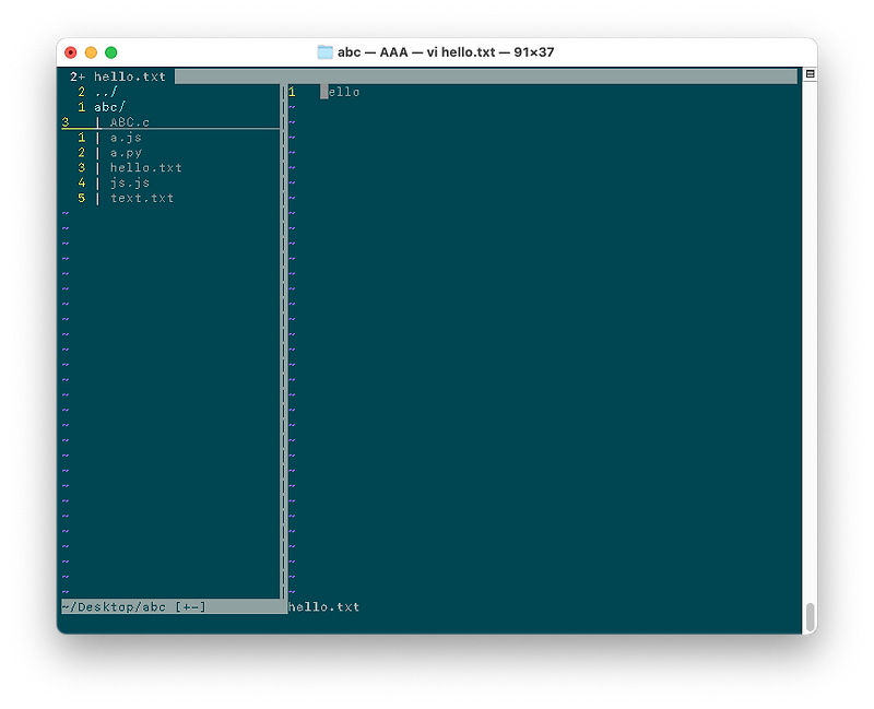 Vim - Netrw (열기)