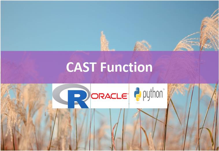 cast-oracle-function-oracle-pandas-r-prog-dplyr-sqldf-pandasql-data-table