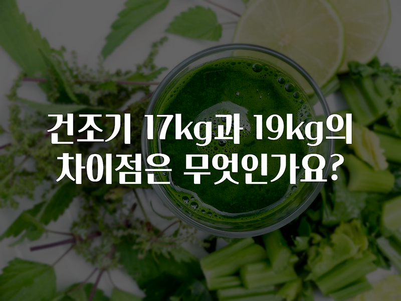 유용한정보 건조기 17kg과 19kg의 차이점은 무엇인가요? 너무 궁금했어요