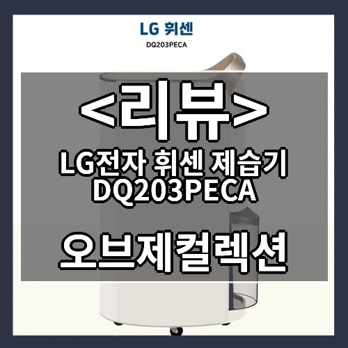 LG전자 휘센 제습기 DQ203PECA 소개, 그냥 해버렸다