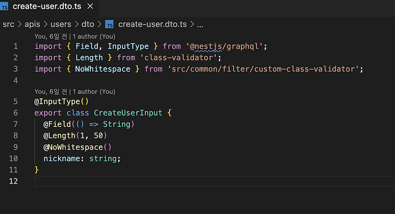 class-validator 커스터마이징