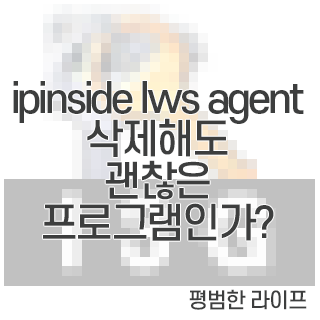 ipinside lws agent 삭제해도 괜찮은 프로그램인가?