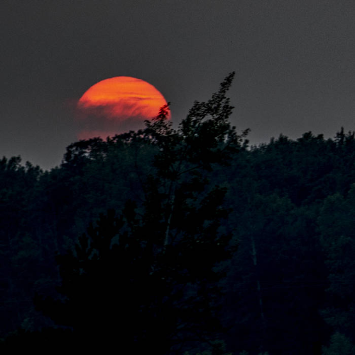 Timothy Wenzel - Red Sun rising