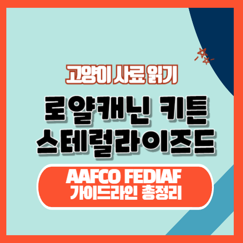 로얄캐닌 키튼 스테럴라이즈드와 AAFCO FEDIAF 가이드 정리 사료를 읽어 드립니다