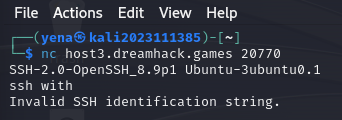 [Dreamhack] Write up - Exercise: SSH