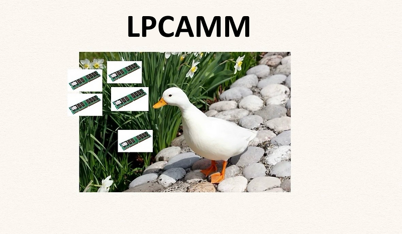 LPCAMM