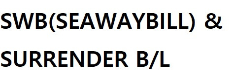 [포워딩, 수출입]SWB(SEAWAYBILL) & SURRENDER BL :: 실무자가 알려주는 포워딩