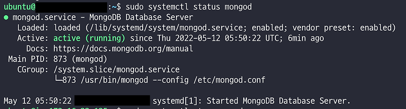 [MongoDB] MongoDB Version Upgrade 하는 방법 (Standalone) — SY Storage
