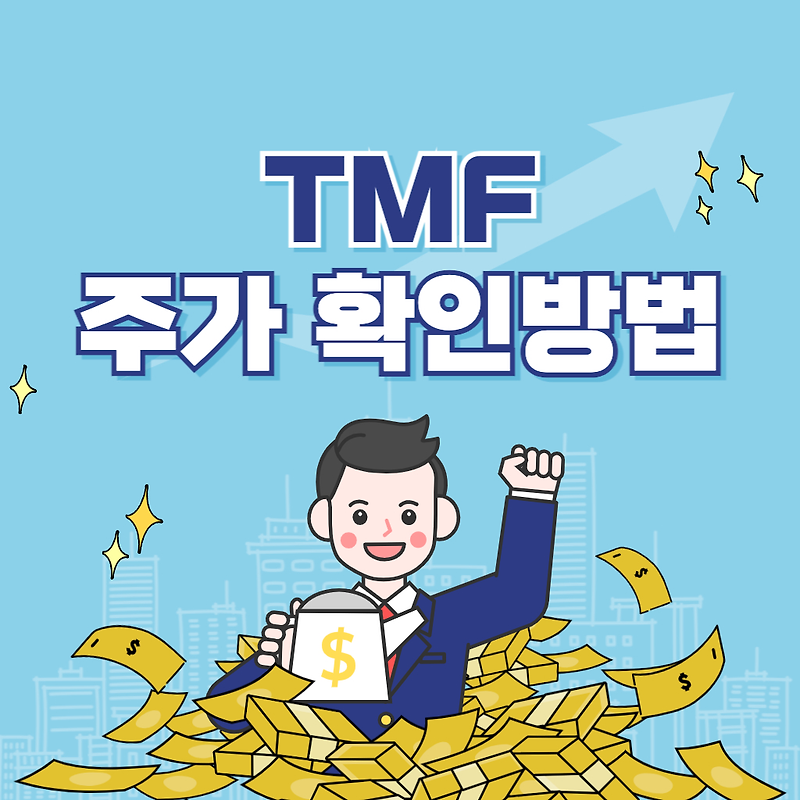 TMF 주가 확인하는 3가지 방법