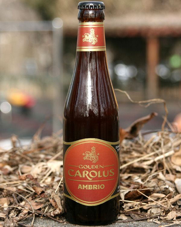 Gouden Carolus Ambrio (구덴 카롤루스 암브리오) - 8.0%