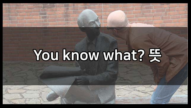 You know what? 뜻 : 그거 알아? 있잖아,