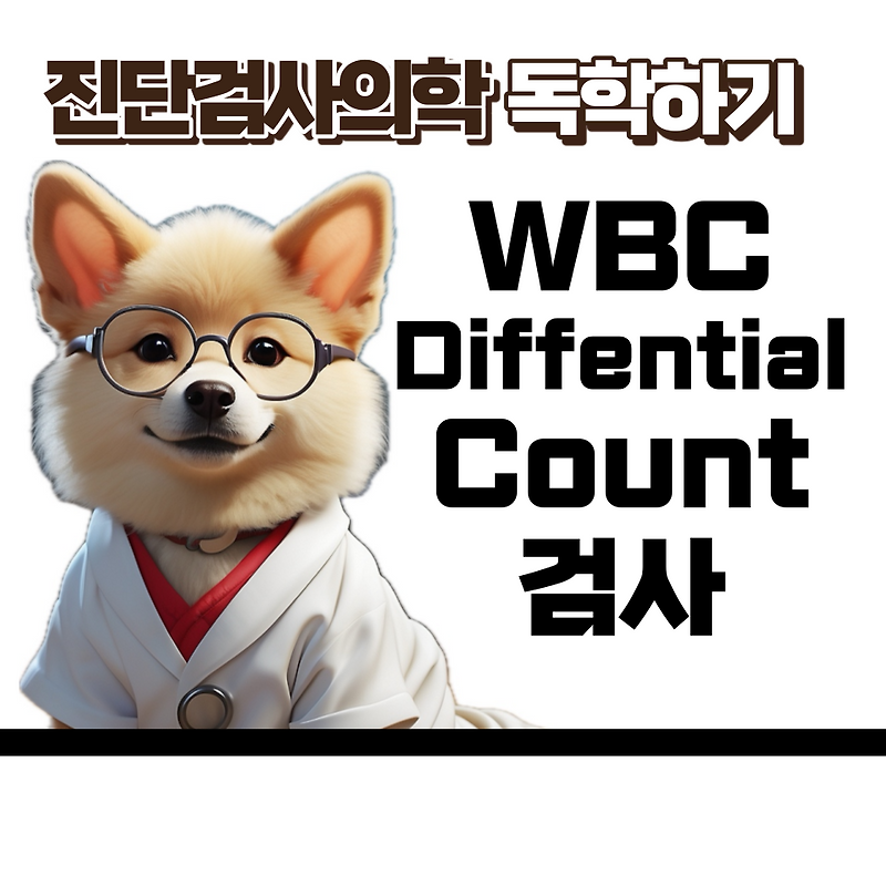 Wbc Diff 검사백혈구감별계산 Wbc Differential Count 백혈구백분율호산구호염구호중구림프구단핵구 9108