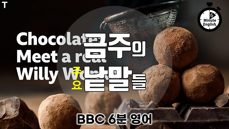 [BBC 영어] 6 Minute English, 금주의 어휘 - Meet a real Willy Wonka