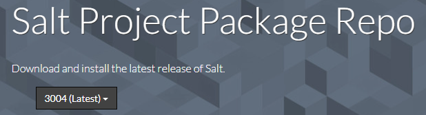 [Saltstack / 솔트스택] Saltstack 패키지 설치 튜토리얼 (CentOS7 버전)