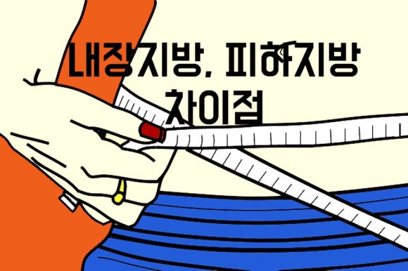 내장지방과 피하지방의 차이점과 빼는 방법
