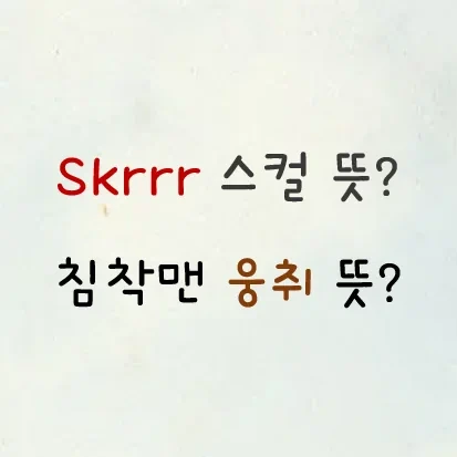 스컬 뜻 힙합 skrr 래퍼 추임새 유래 의미 정보! (+ 침착맨 웅취 무슨 말?)