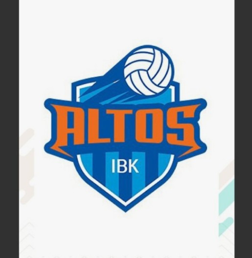 2025 여자배구 IBK기업은행 (주요 선수, 경기력, 팀 전략)