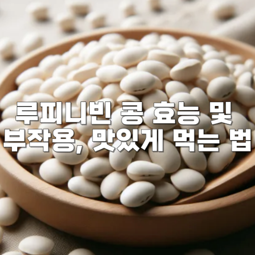 루피니빈 콩 효능 및 부작용 맛있게 먹는 법 당뇨 걱정 끝
