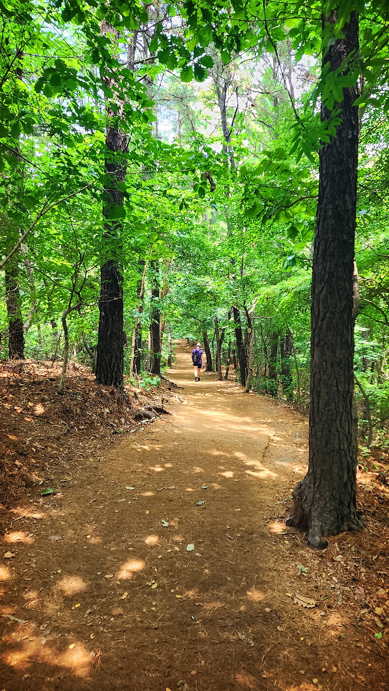 202307-광교산 형제봉 정복!! :: 4th generation