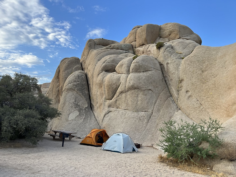 조슈아 트리 국립공원(Joshua Tree National Park) / 점보 록스 캠프그라운드(Jumbo Rocks ...