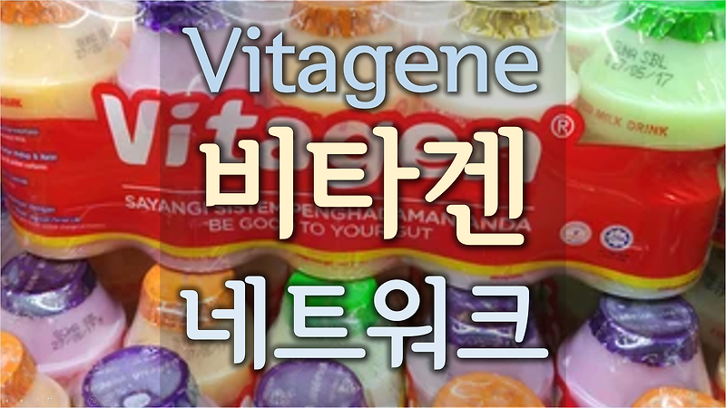 비타겐 네트워크 (Vitagene Network)