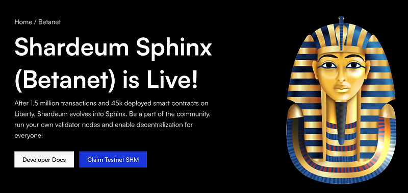 Shardeum Sphinx 1.1 betanet 밸리데이터 참여 가이드