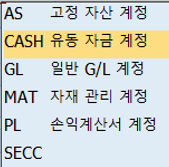 [SAP_FI] FS00, FSP0의 Account Group, G/L Account Type 에대해