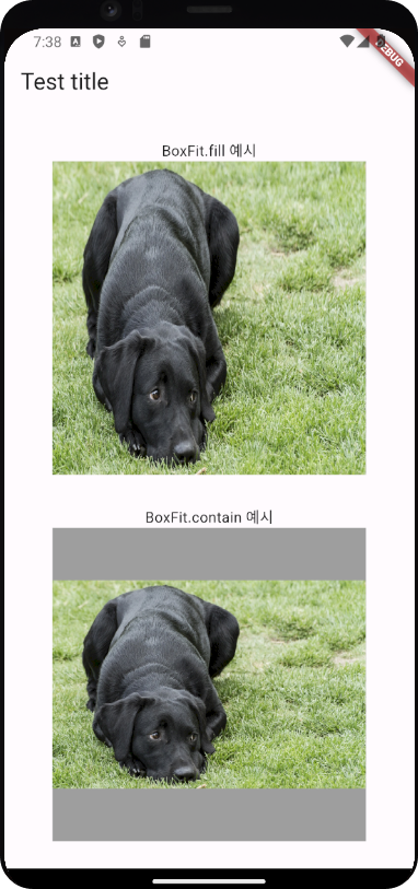 Flutter - NetworkImage, AssetImage