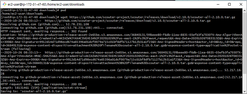 [ scouter ] spring scouter 설치