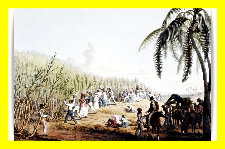 타로 마이너덱 페이지 오브 완드 카드를 받아들이는 방법