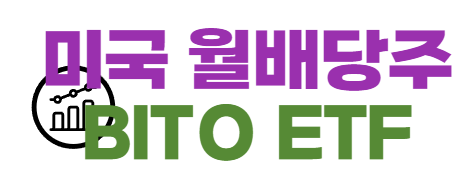 미국 월배당주, 비트코인 ETF BITO 투자 전략