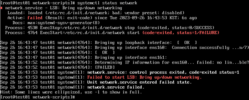 [Linux] Failed to start LSB: Bring up/down networking