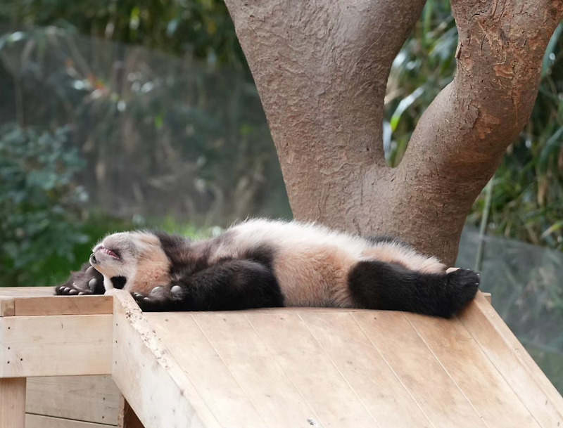 [Algorithm] 공원 산책 (w/ Swift)