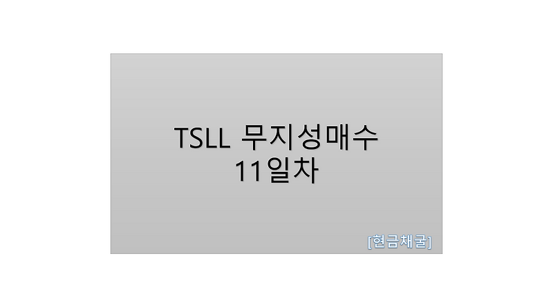 TSLL 무지성매수 11일차