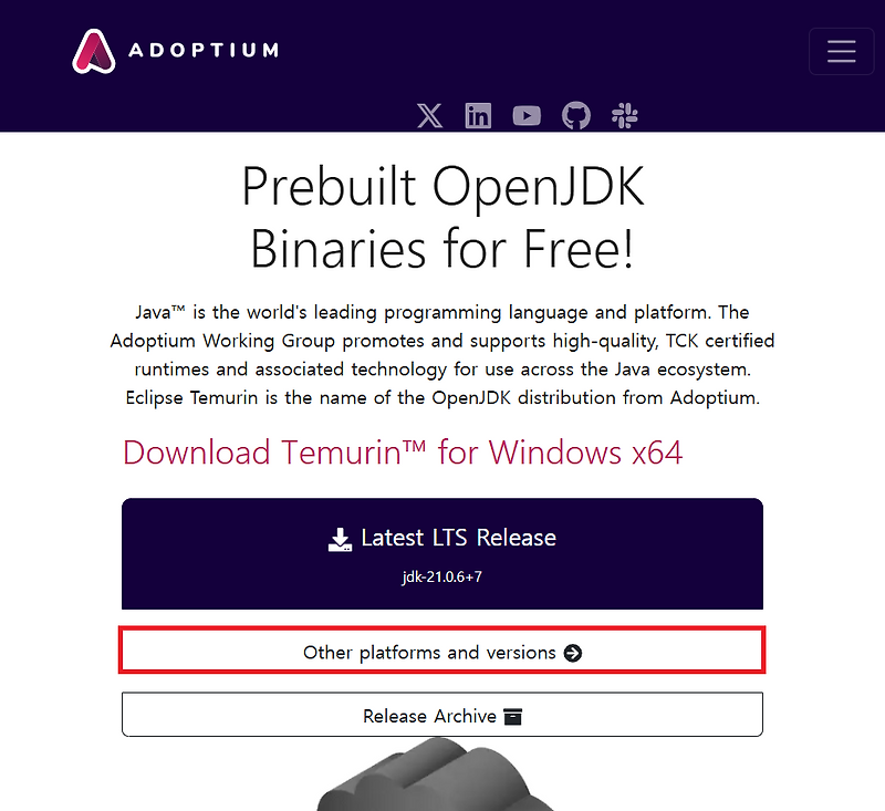 25.02.24 TIL - Open JDK, intelliJ 설치, Java 기초