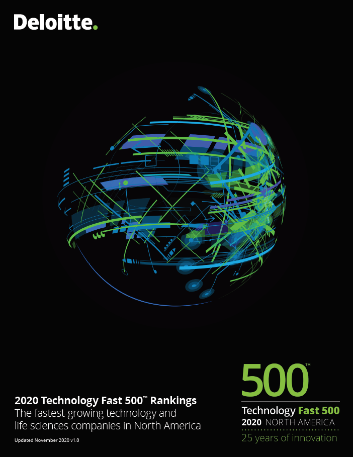 [Deloitte 딜로이트] 2020 Technology fast 500 rankings
