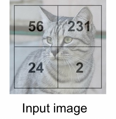 이미지 분류 기반의 딥러닝(2) - Linear Classification, Loss Function, Regularization