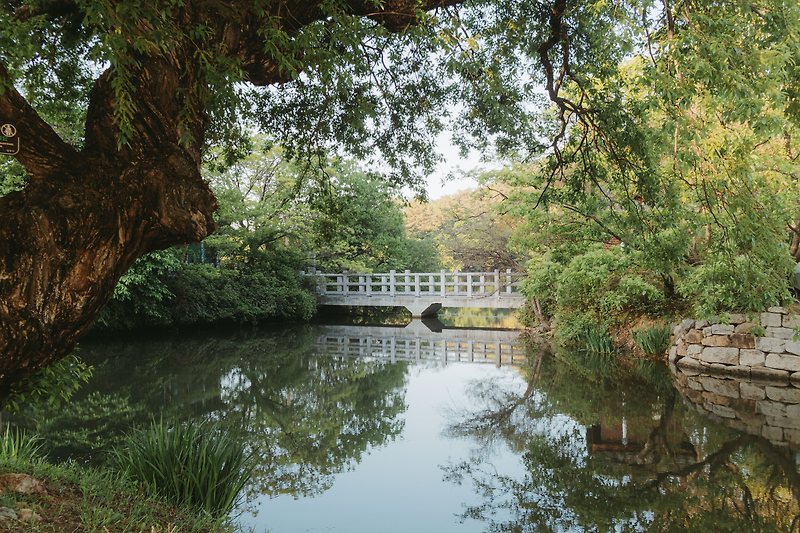 In April, Wiyangji Pond in Miryang