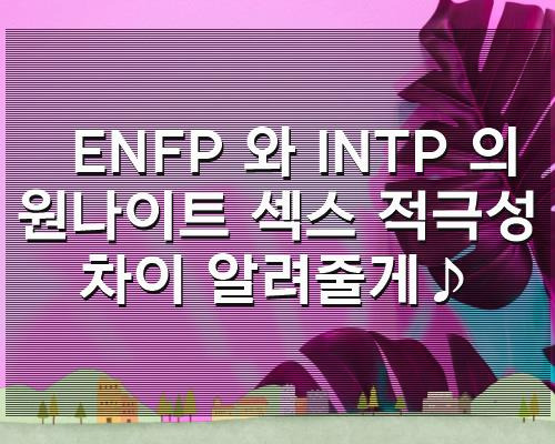 ENFP 와 INTP 의 원나이트 섹스 적극성 차이 알려줄게♪