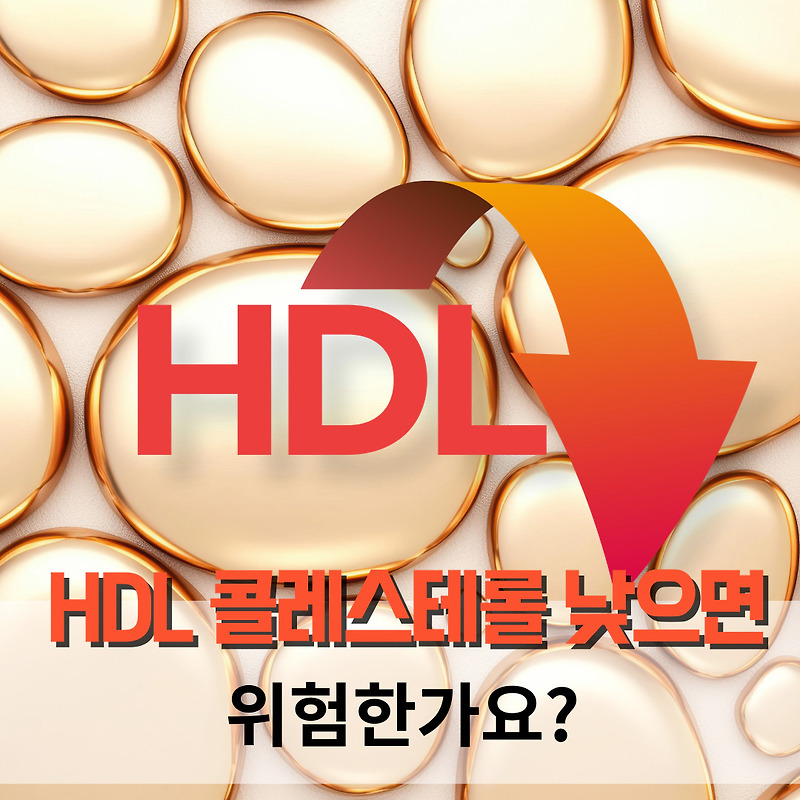 HDL콜레스테롤 낮으면 위험한가요? 원인과 해결책 한눈에!