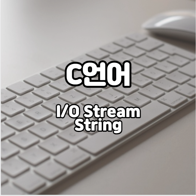 [C 언어] 11. Input/Output Stream, String