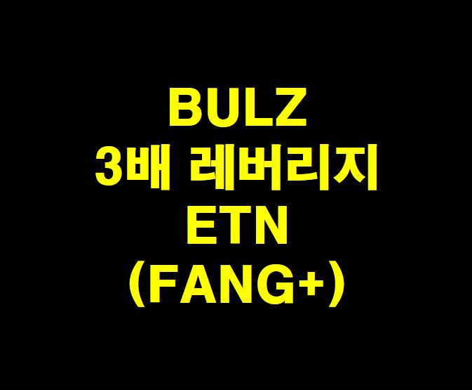 BULZ 3배 레버리지 ETN 기본정보와 향후 전망(FANG+) :: 직장인 지식생활
